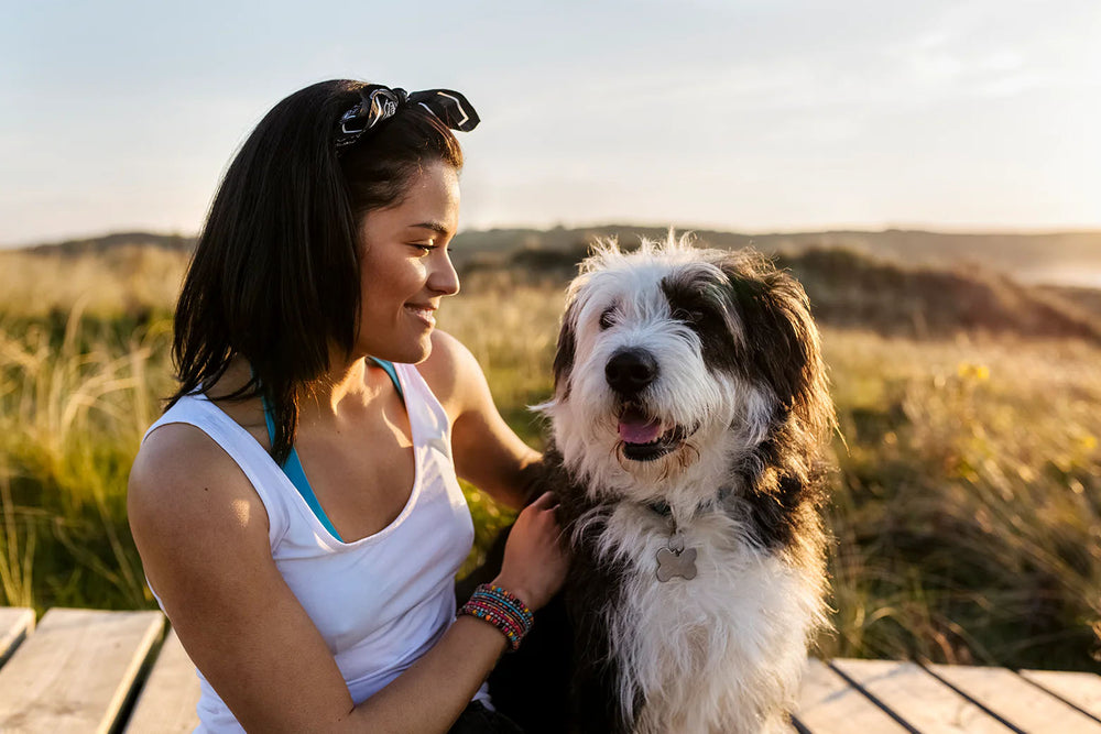 Sorgfältig ausgewählte Produkte für Hunde – Wuff's Best