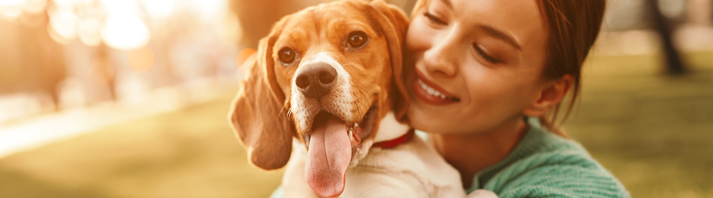 Sorgfältig ausgewählte Produkte für Hunde – Wuff's Best